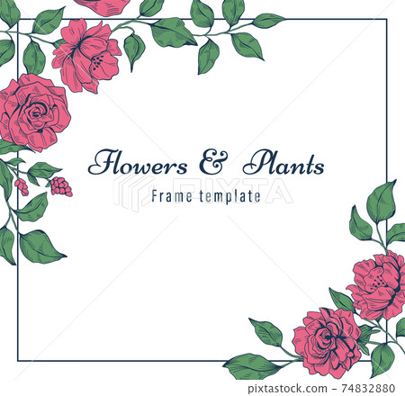 Rose flower frame illustration - Stock Illustration [74832880] - PIXTA