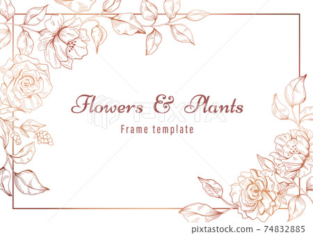Rose flower frame illustration - Stock Illustration [74832885] - PIXTA