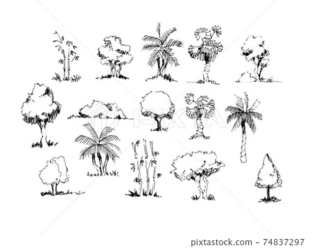 Trees, plants, nature, handwriting - Stock Illustration [74837297] - PIXTA