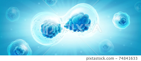 Cell Reproduction Microscope