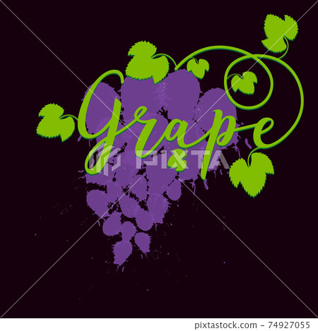 grape logo made from lettering and grape brush - Stock Illustration ...