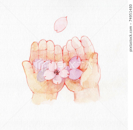 Sakura in hand - Stock Illustration [74951480] - PIXTA