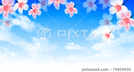 Sakura spring landscape background - Stock Illustration [74959930] - PIXTA