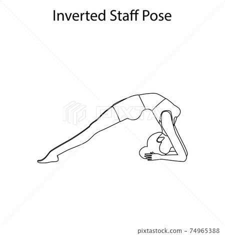 Inverted staff pose yoga workout outline.... - Stock Illustration ...