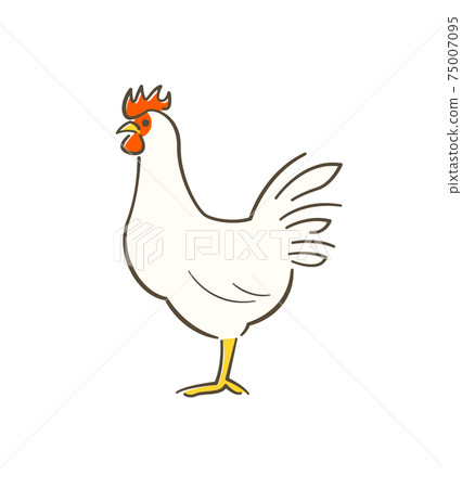 Female chicken - Stock Illustration [75007095] - PIXTA