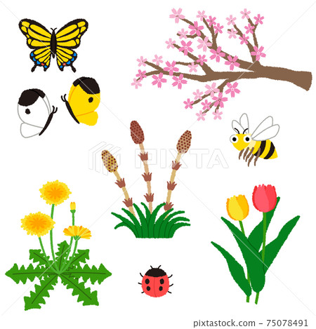 Illustration of spring flowers and insects - Stock Illustration ...