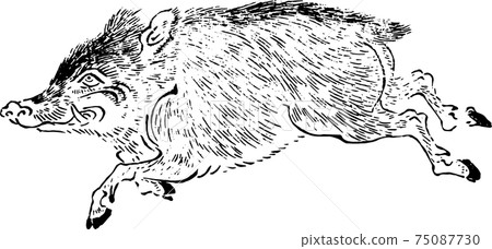 Running boar - Stock Illustration [75087730] - PIXTA