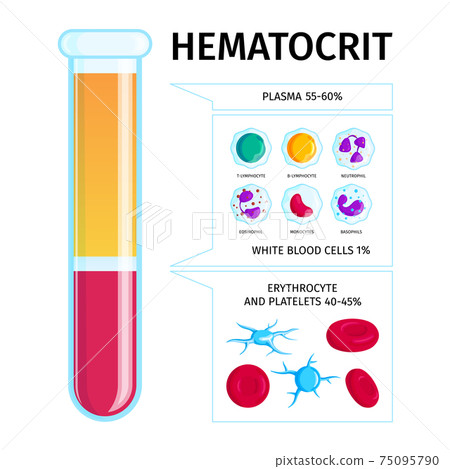 Blood Cells Plasma Infographics - Stock Illustration [75095790] - PIXTA