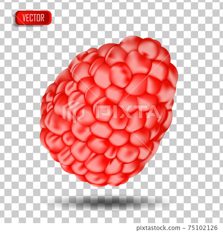 Appetizing fresh raspberries isolated on a... - Stock Illustration ...