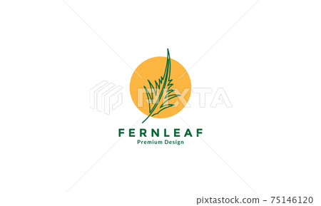 aesthetics fern leaf logo design vector - Stock Illustration [75146120 ...