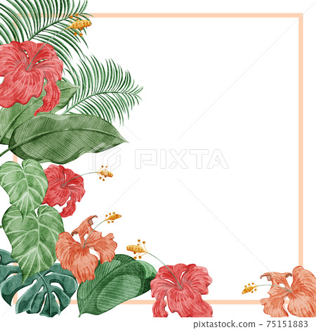 Tropical hibiscus frame decoration - Stock Illustration [75151883] - PIXTA