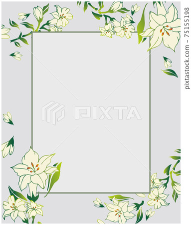 Lily flower frame frame - Stock Illustration [75155198] - PIXTA