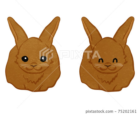 Rabbit / Mini Rex / Front - Stock Illustration [75202161] - PIXTA