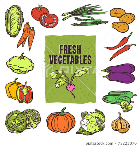 Vegetable Sketch Set - Stock Illustration [75223070] - PIXTA