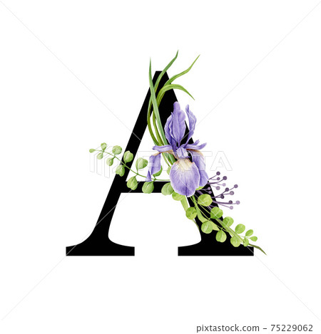 Floral alphabet collection. Capital letter A... - Stock Illustration ...