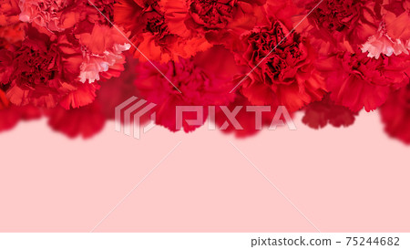 Red carnation background material-there are... - Stock Illustration ...