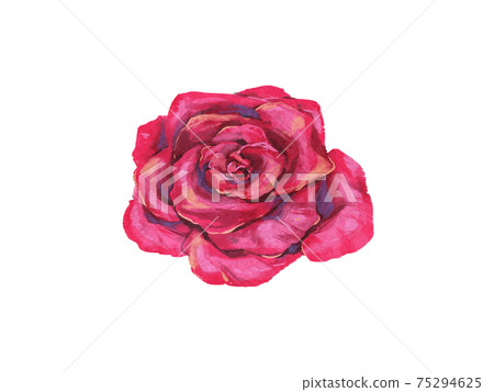 Coarse touch _ hand-painted rose pink transparent - Stock Illustration ...