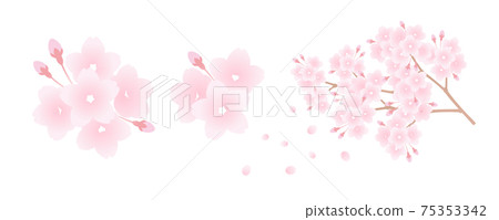 Sakura vector material - Stock Illustration [75353342] - PIXTA
