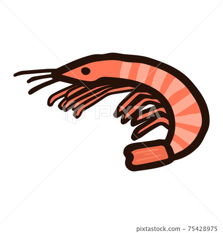 Simple and cute illustration of shrimp... - Stock Illustration ...