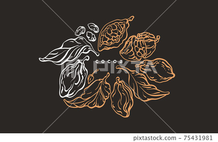 Cocoa circle symbol. Vector graphic bio card - Stock Illustration ...