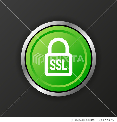SSL encryption button. Secure icon. Vector... - Stock Illustration ...