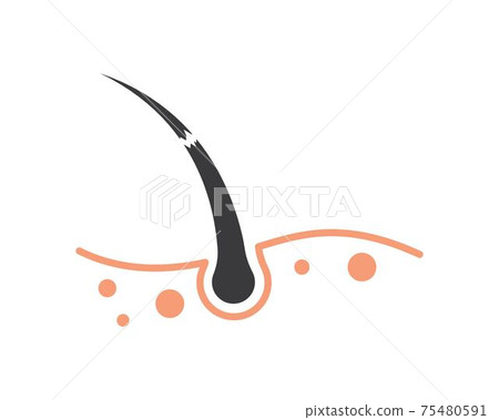 hair root icon vector illustration design - Stock Illustration ...