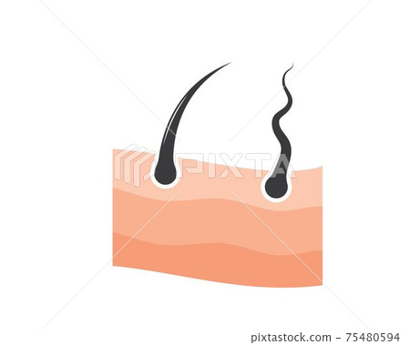 hair root icon vector illustration design - Stock Illustration ...