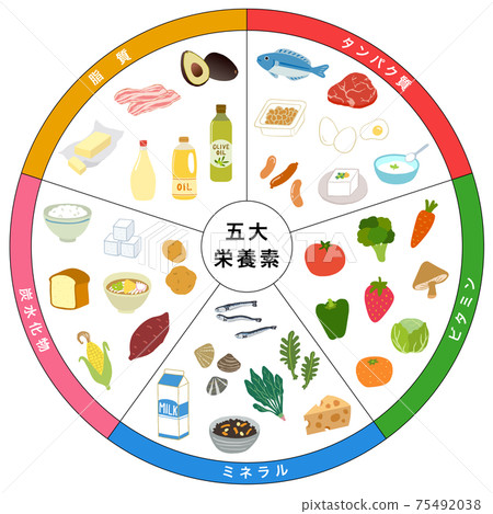 List of five major nutrient foods - Stock Illustration [75492038] - PIXTA