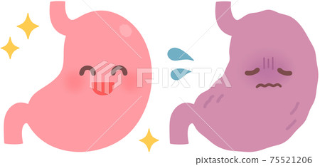 A healthy stomach and a weak stomach - Stock Illustration [75521206 ...