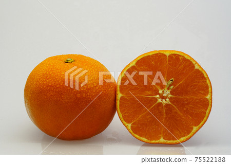 Orange Fruit Brands