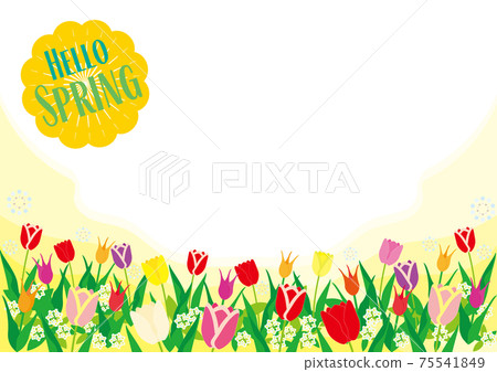 HELLO SPRING label and colorful tulip field... - Stock Illustration ...