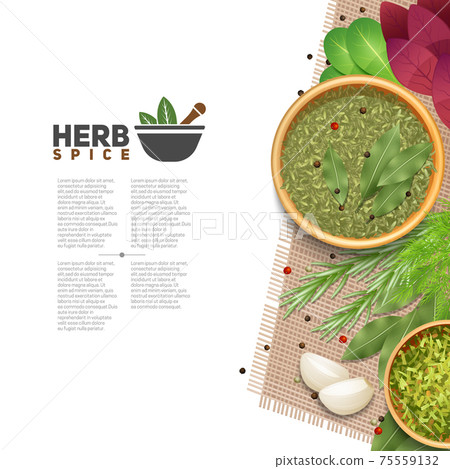 Herbs Spices Food Seasoning Information POster - Stock Illustration ...