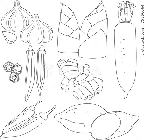 Illustrations of various vegetables and... - Stock Illustration ...