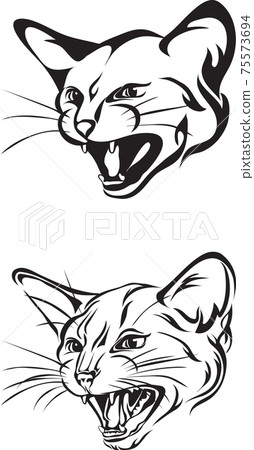 Cat, head, teeth, various poses, black,... - Stock Illustration ...