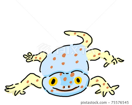 Tokay gecko - Stock Illustration [75576545] - PIXTA