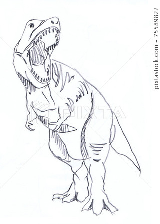 Dinosaur line art sketch - Stock Illustration [75589822] - PIXTA