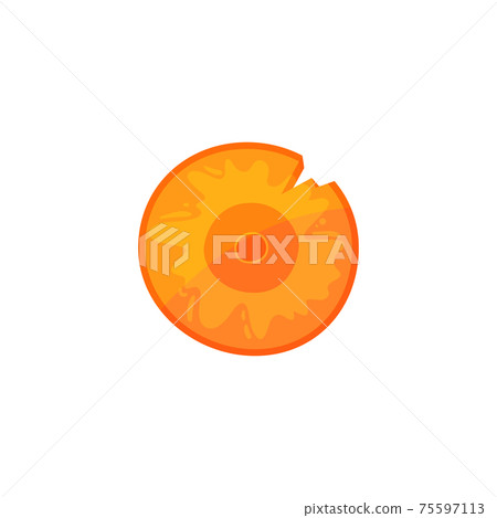 Split Carrot Flat Composition - Stock Illustration [75597113] - PIXTA