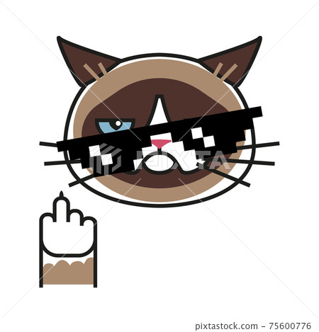 Grumpy cat making gesture with middle finger-插圖素材 [75600776] - PIXTA圖庫