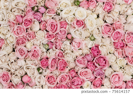 Floral visual of live flowers wall background - Stock Photo [75614157 ...