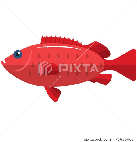 Sea bass vector illustration fishing icon... - Stock Illustration ...