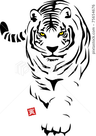 White tiger walking leisurely with a tiger mark - Stock Illustration ...