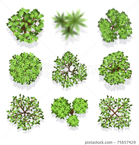 Trees top view set for landscape design and map - Stock Illustration ...