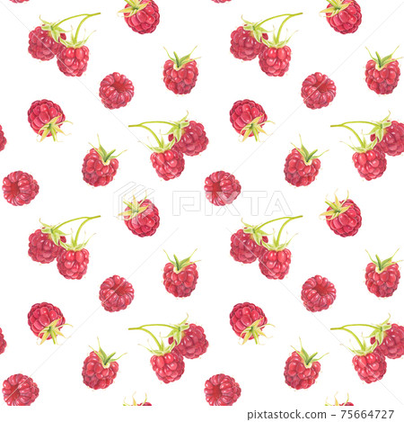 Seamless pattern with watercolor raspberries... - Stock Illustration ...