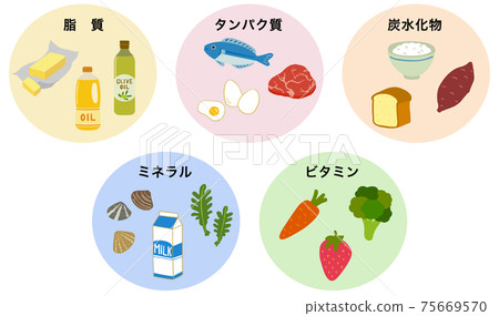 Five major nutrient foods - Stock Illustration [75669570] - PIXTA
