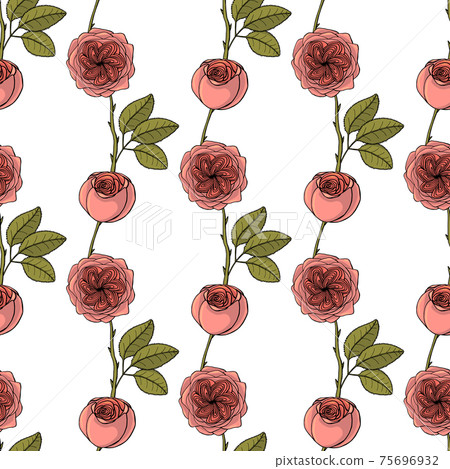 Seamless pattern with juliet garden rose... - Stock Illustration ...