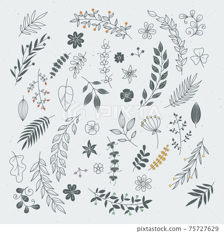 Rustic hand drawn ornaments with branches and... - Stock Illustration ...