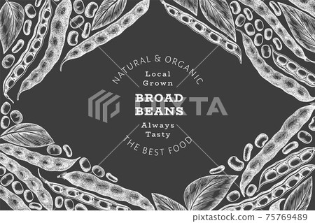 Hand drawn broad beans design template. Organic... - Stock Illustration ...