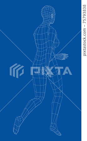 Wireframe walking woman. Vector - Stock Illustration [75793838] - PIXTA