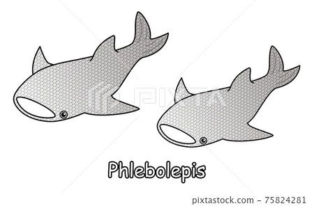 Ancient Fish Phlebolepis Chinless Fish... - Stock Illustration ...