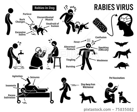 Rabies Virus in Human and Animal Stick Figure... - Stock Illustration ...